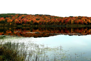 Best Places to View Fall Colors in Fargo & Beyond