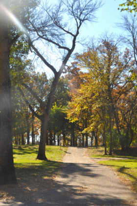 Free & Cheap Things to Do in Fargo: 12+ Fun Ideas