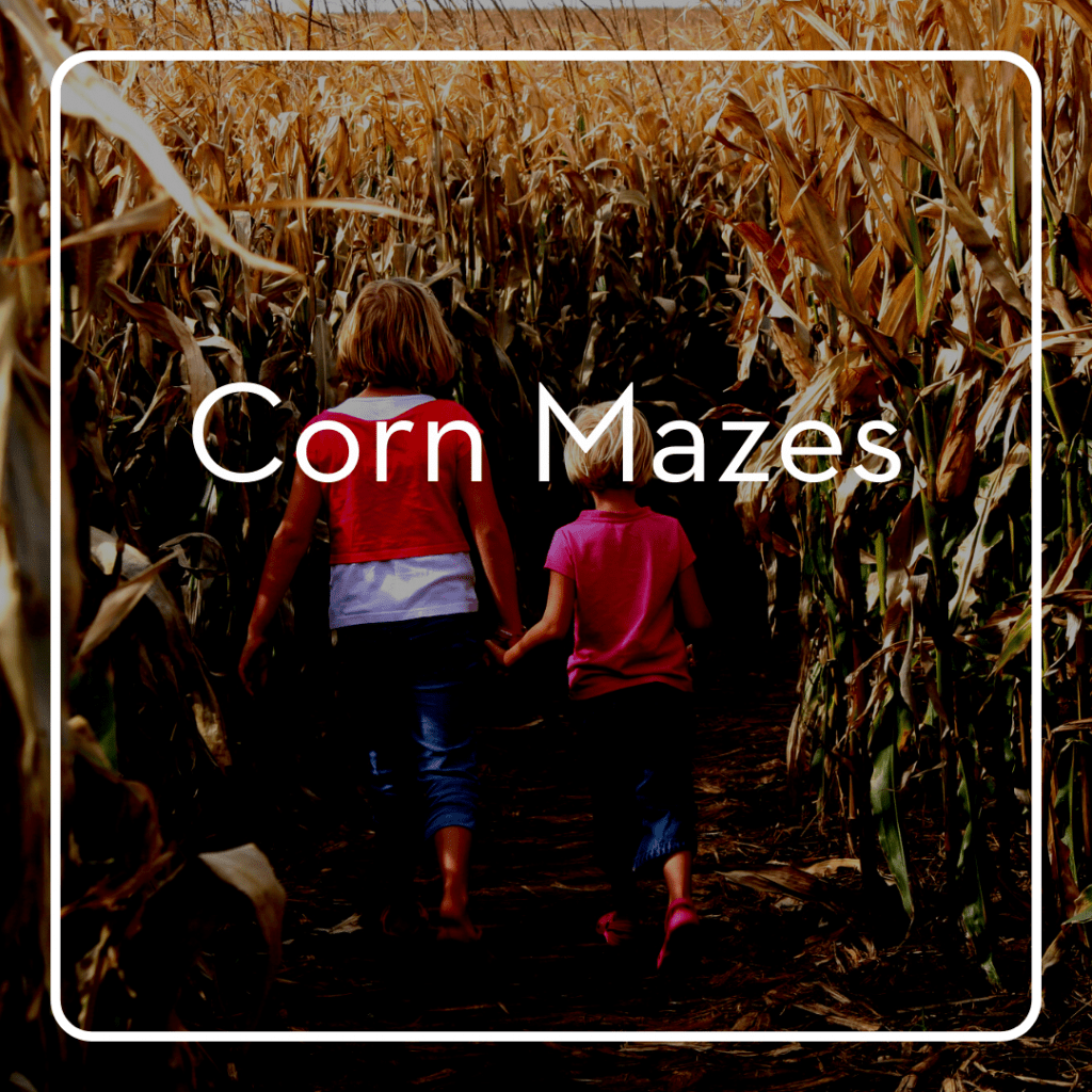 Haunted Farms & Corn Mazes in Fargo | Teens & Adults