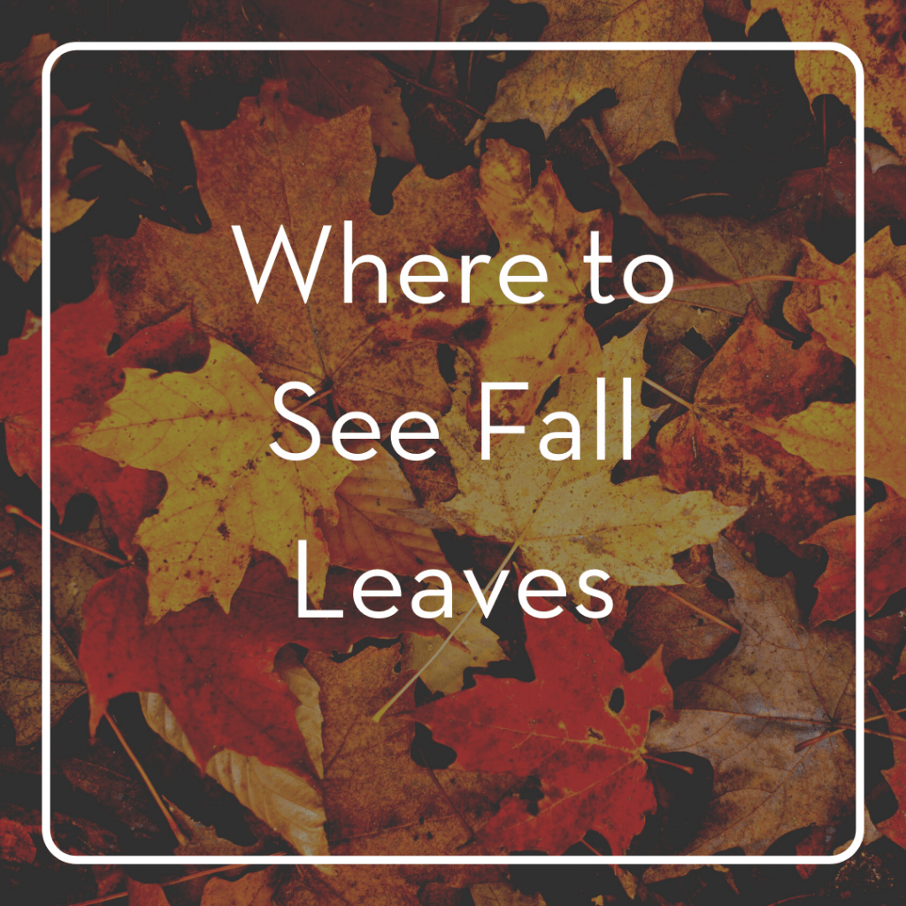 Fall & Halloween Events in Fargo | 2025