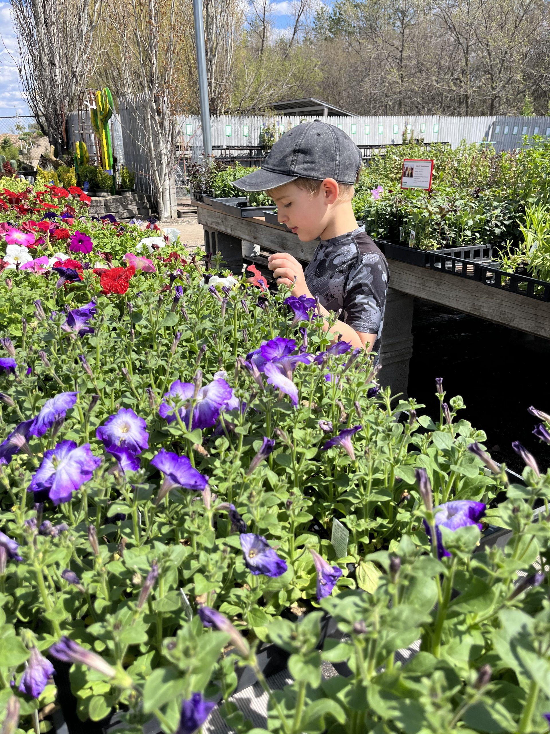 5 Spots to Explore Nature in Fargo & Moorhead