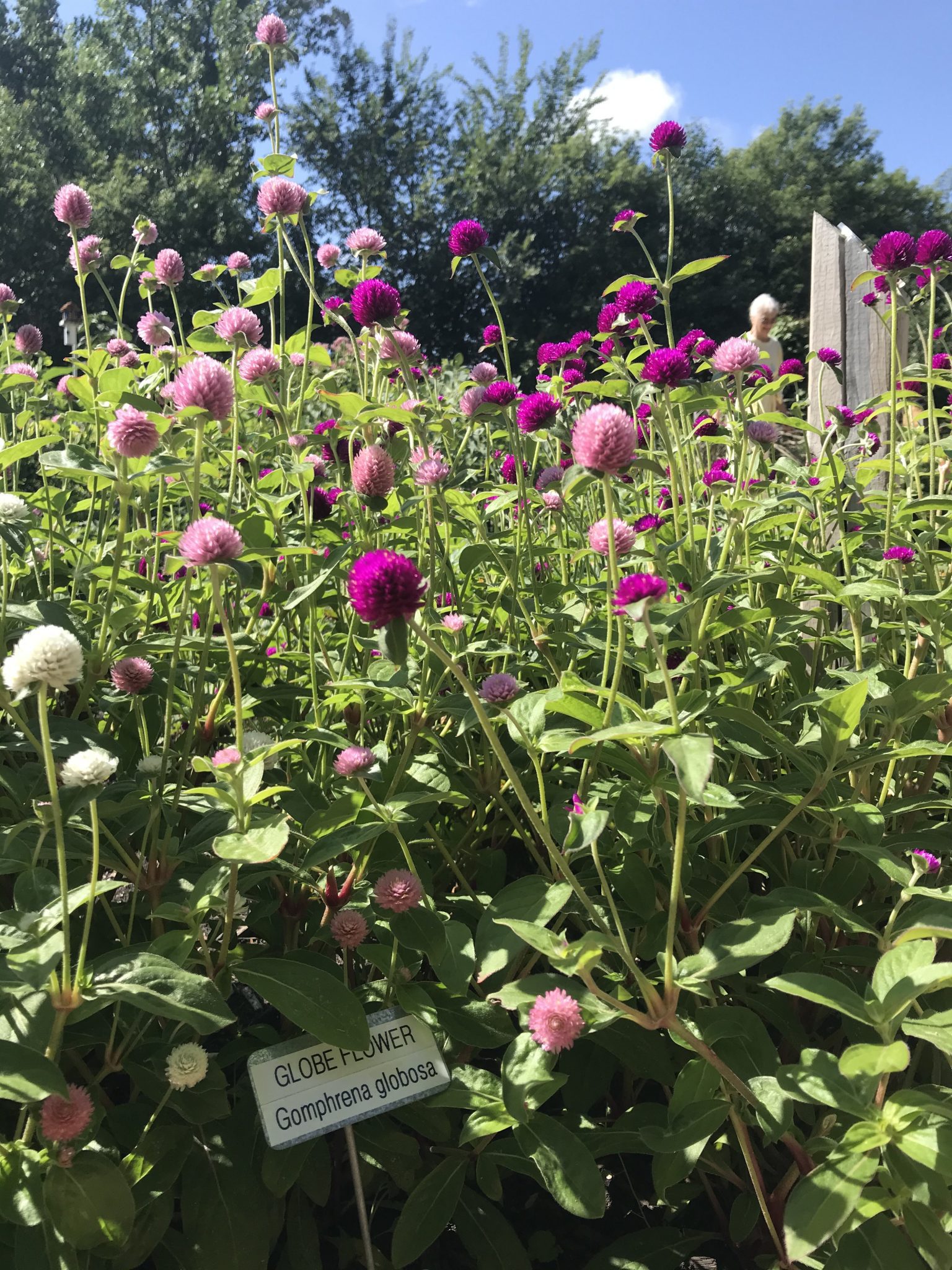 5 Spots to Explore Nature in Fargo & Moorhead