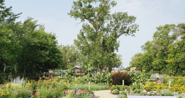 15 Places to Hike in Fargo & Moorhead With Kids