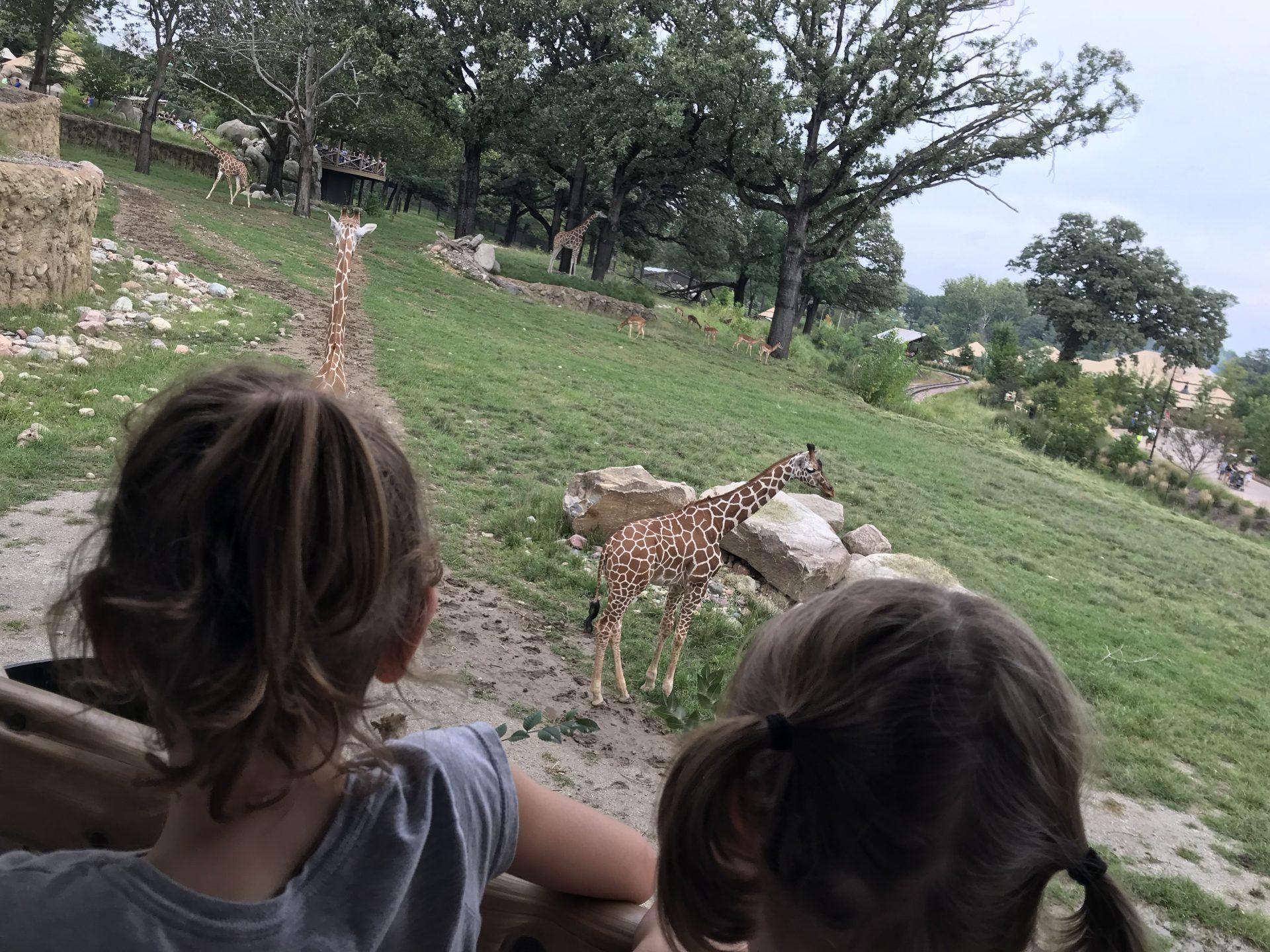 Zoos Near Fargo That Are Worth the Drive