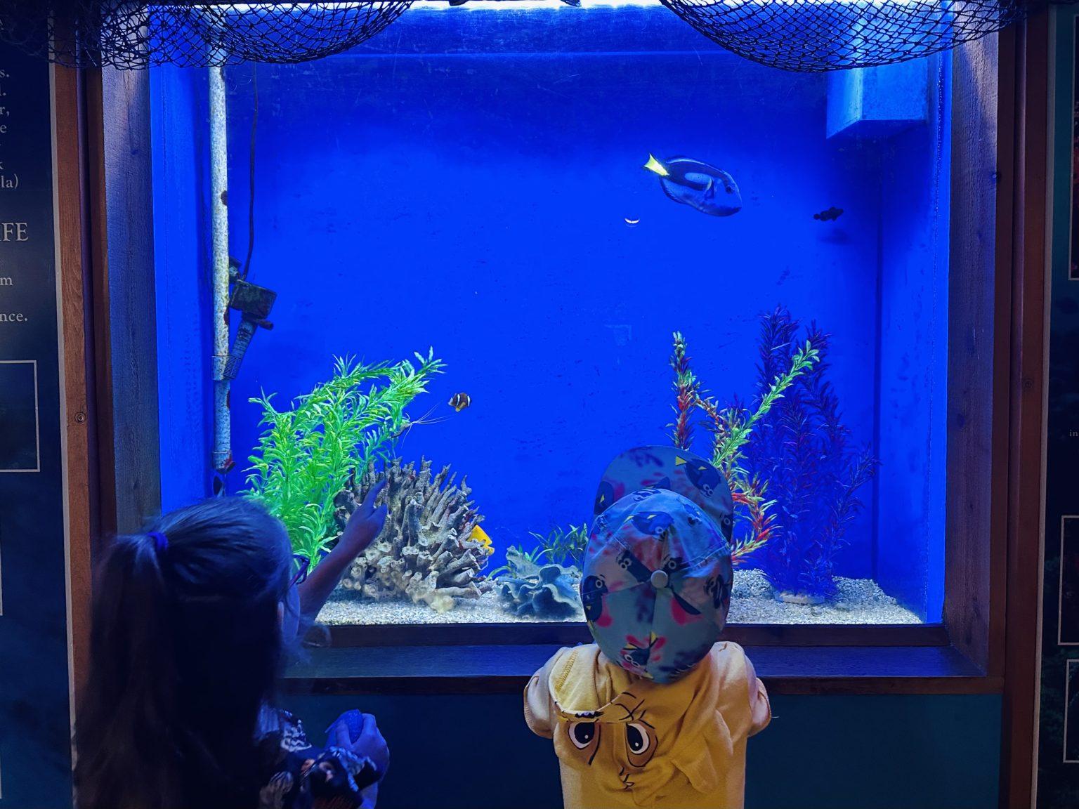 Day Trip from Fargo: Bramble Park Zoo in Watertown, SD