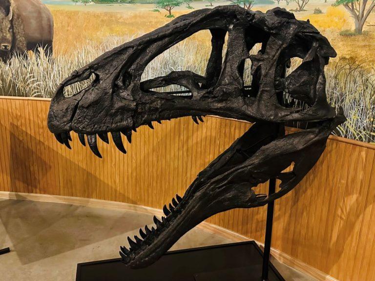 Day Trip from Fargo: Bramble Park Zoo in Watertown, SD