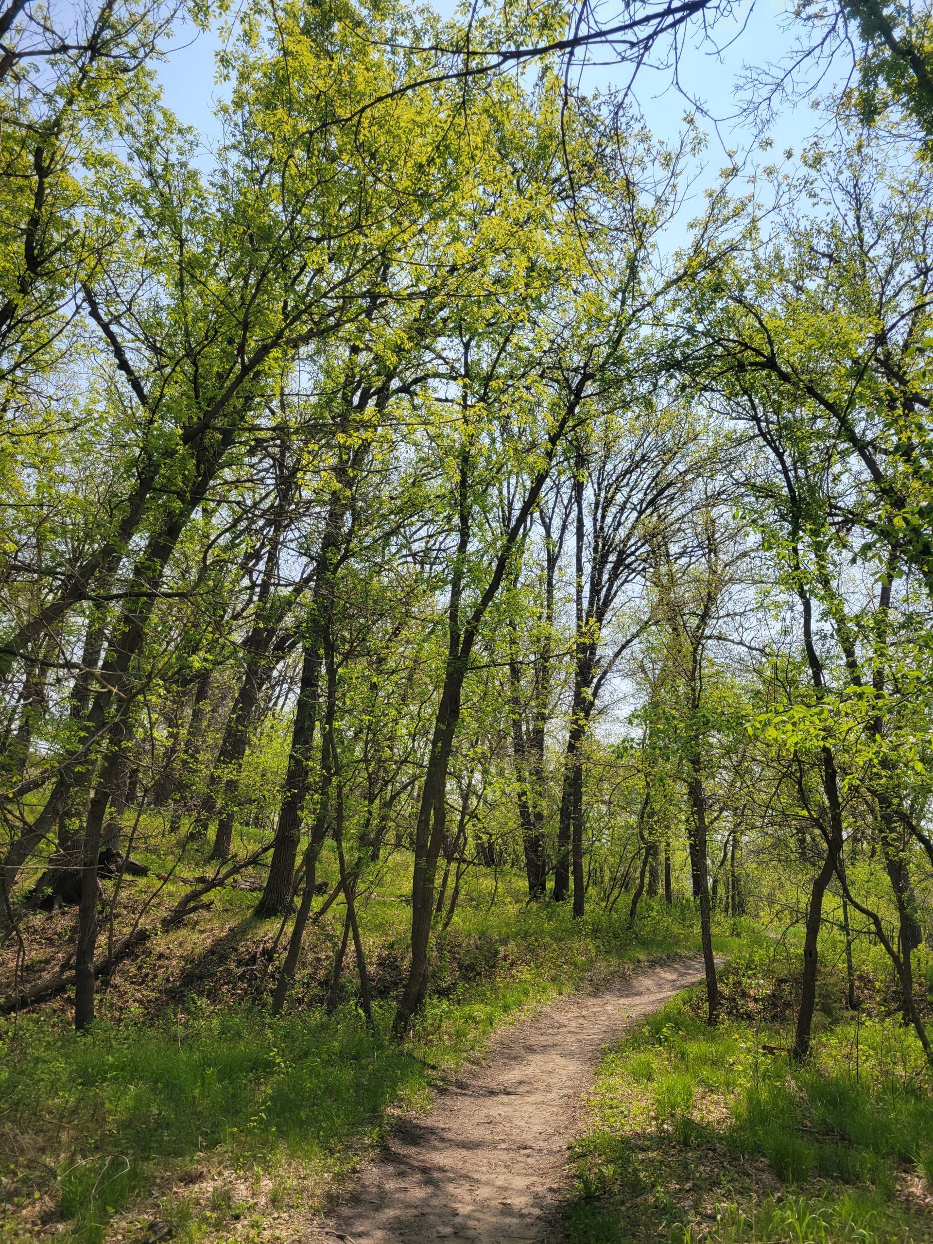 Day Trip from Fargo: Fort Ransom State Park