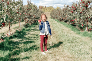 Day Trip from Fargo: Country Blossom Farm
