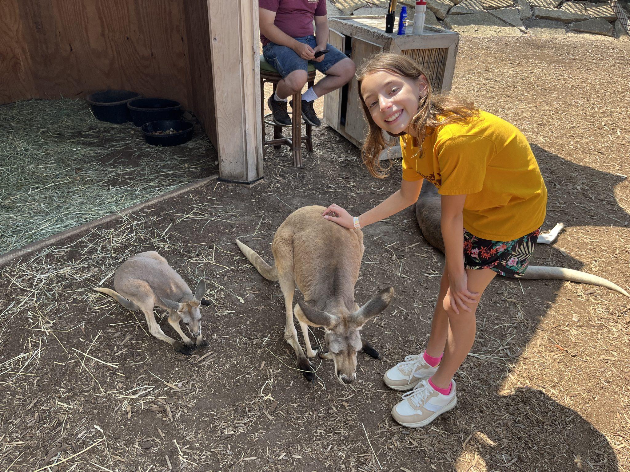Road Trip from Fargo: Wisconsin Dells