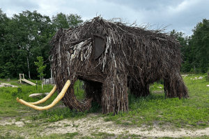 Take the Kids to Find the Giant Trolls in Detroit Lakes!