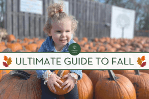 Ultimate Guide to Halloween & Fall Activities in Fargo | 2024