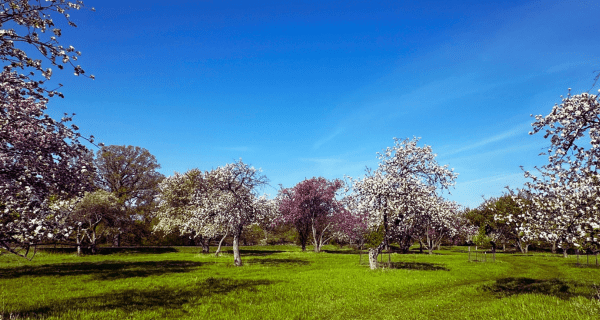 Free & Cheap Things to Do in Fargo: 12+ Fun Ideas