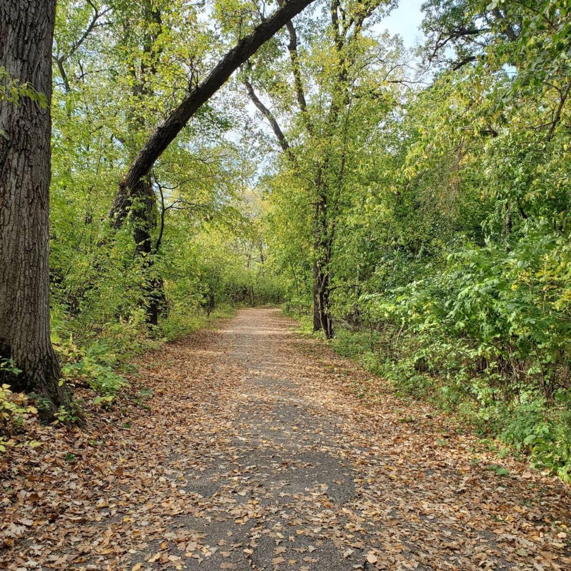 Best Places to View Fall Colors in Fargo & Beyond