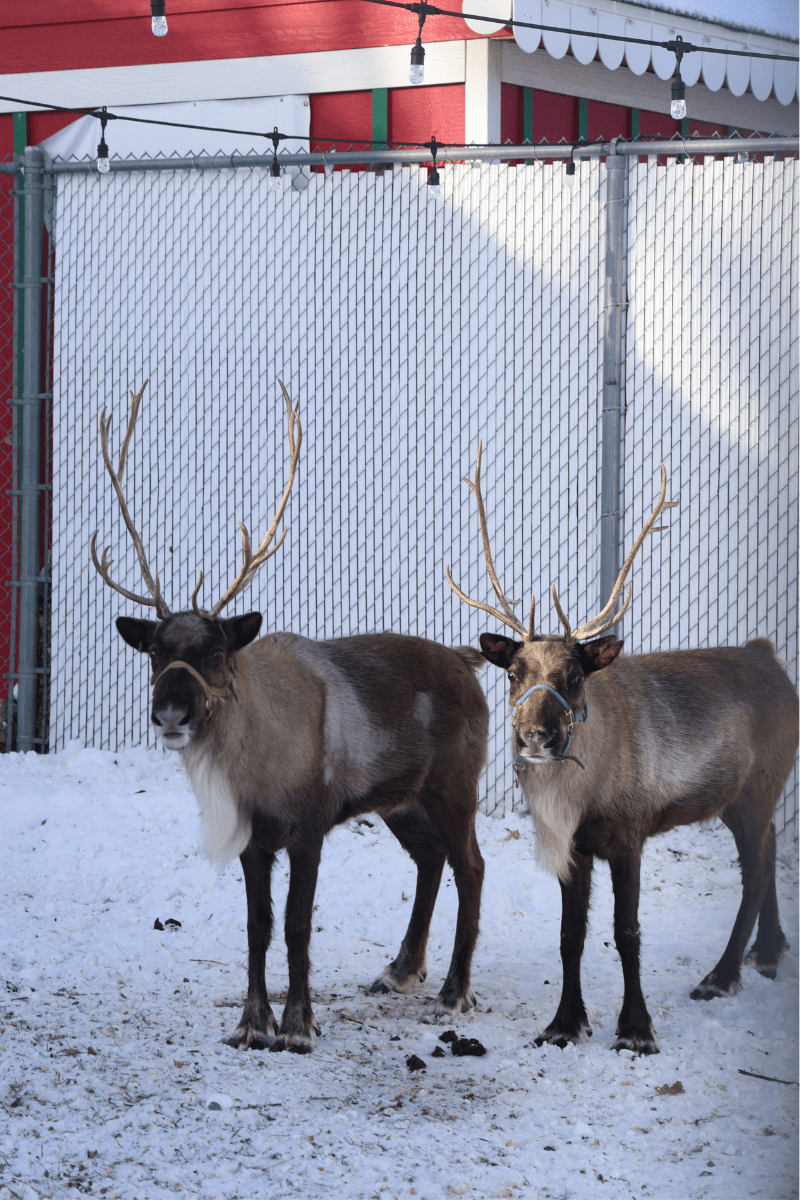 Santa Village in Fargo: Our Favorite Holiday Tradition